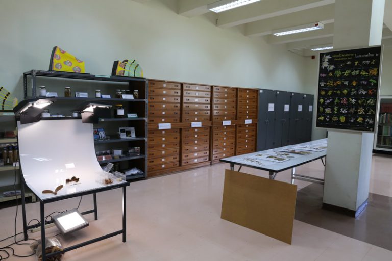 Digital Herbarium - มหาวิทยาลัยมหิดล วิทยาเขตกาญจนบุรี